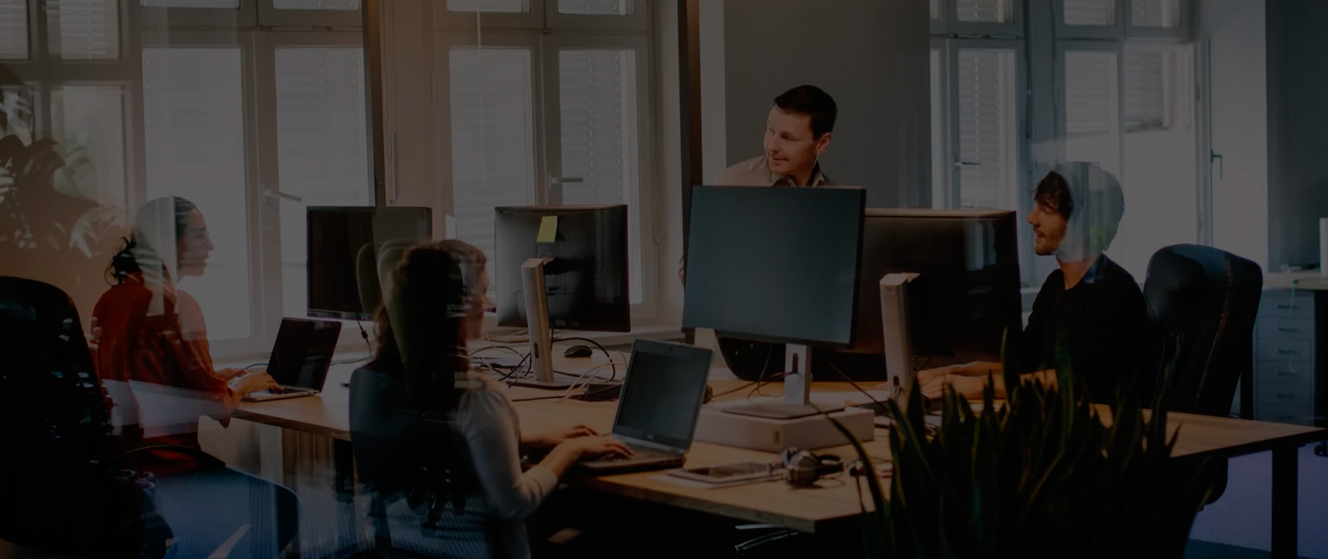 EQUILA – Consulting